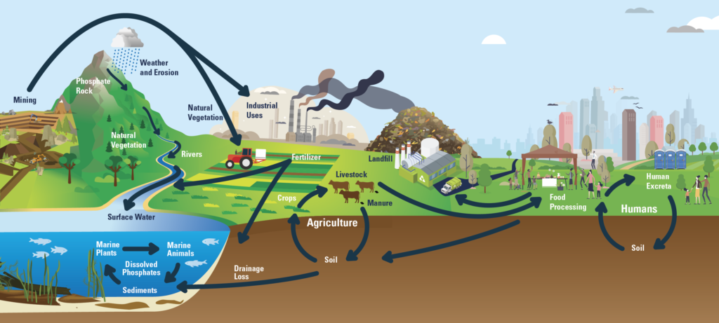25-in-25: A Roadmap Toward US Phosphorus Sustainability | STEPS | NC ...