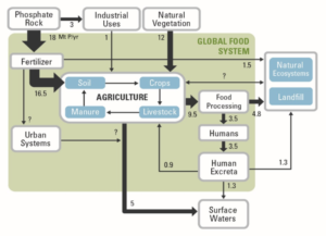 Research | STEPS | NC State University